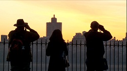 Review of Bird-watching Documentary ‘The Central Park Effect’