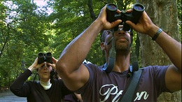 Review of Bird-watching Documentary ‘The Central Park Effect’