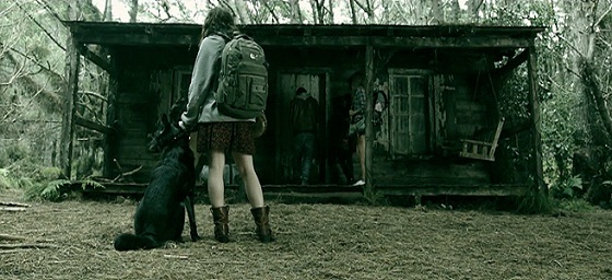 ‘Evil Dead’ Blu-ray Review